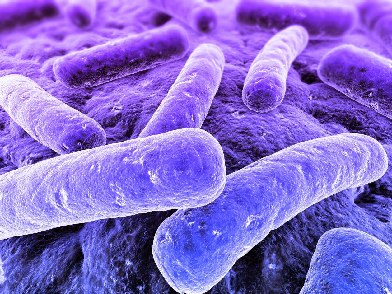 Microbiología: Géneros Bacterianos