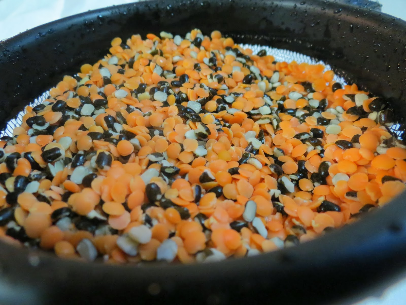 That Dang Cook: Lentils, The Other Other Other Protein