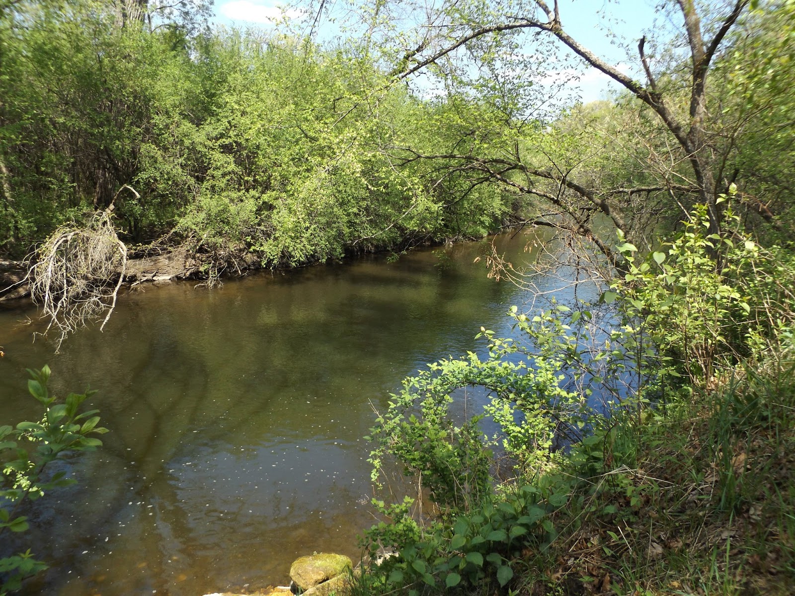 Day Hiking Trails: Hike along famous Wisconsin trout stream