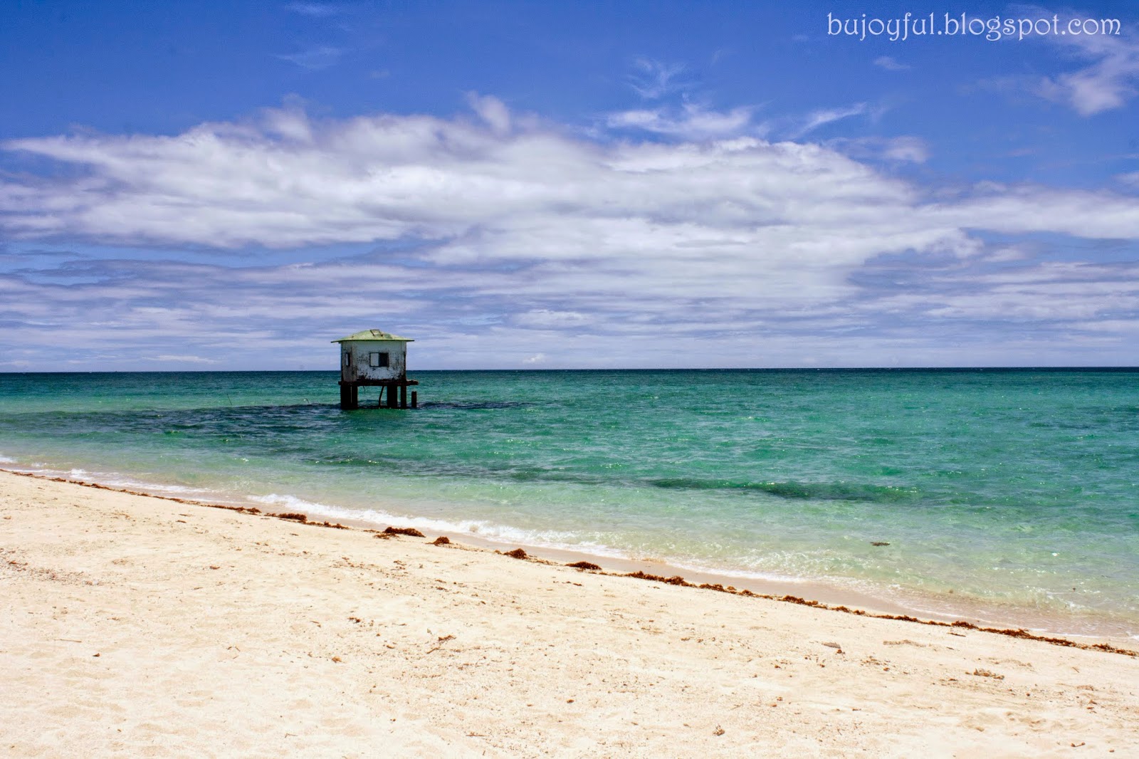 Love.Laugh.TRAVEL: Sagay City, Negros Occidental 2014 : Carbin Reef