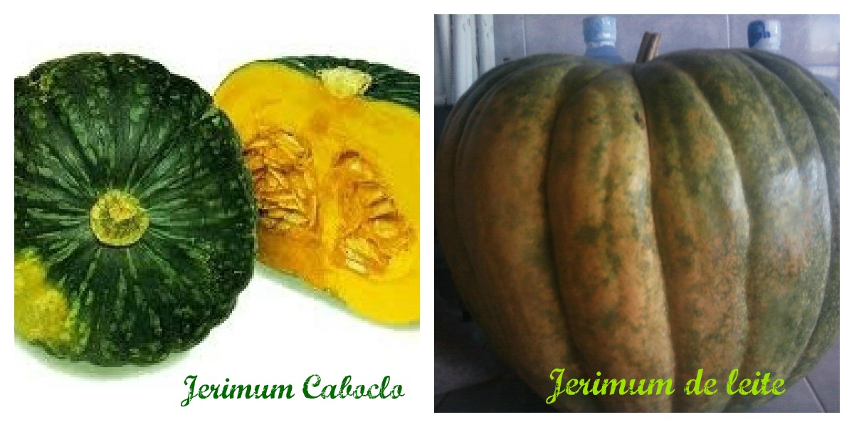 VENTO NORDESTE: DOCE DE JERIMUM COM COCO E TORTA POTIGUAR - DUAS ...