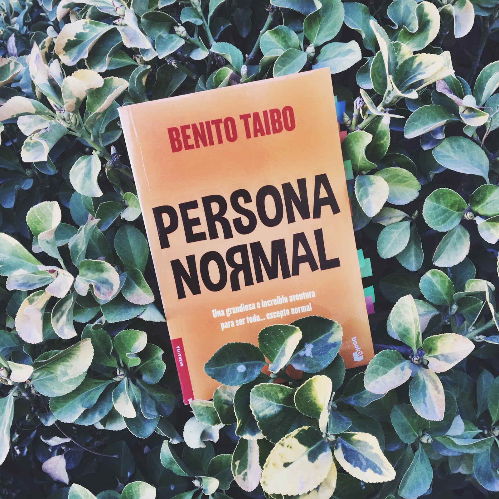 Reseña: Persona Normal - Benito Taibo - Mundos Infinitos