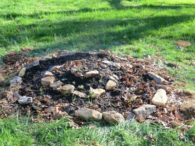 Coladascope: In Memory of Sashi...