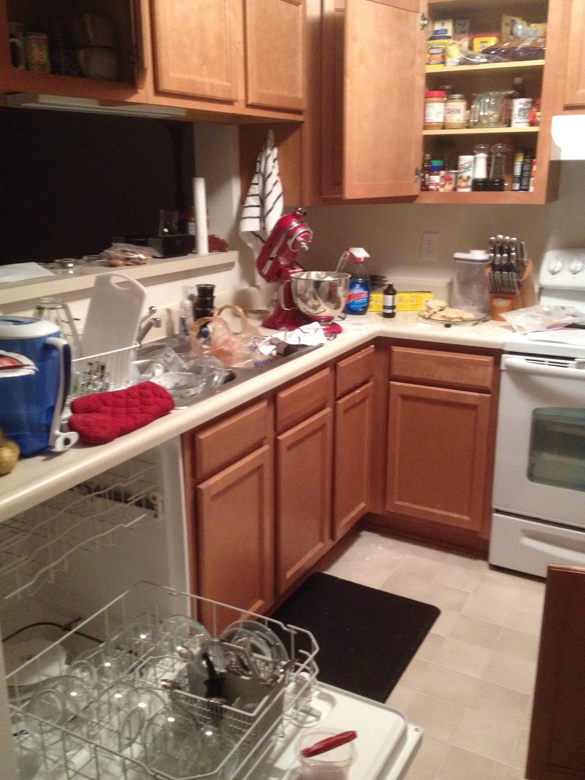The Messiest Kitchen in the History of the World: Introduction!!