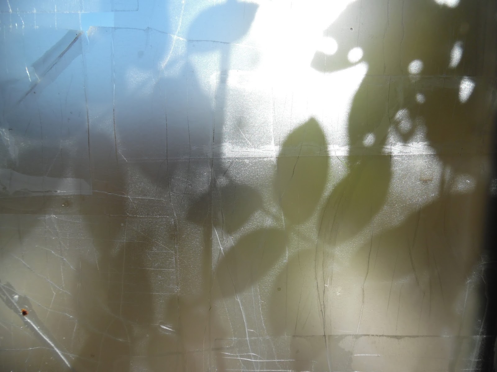 ART by JDEMILO: Texture Tuesday