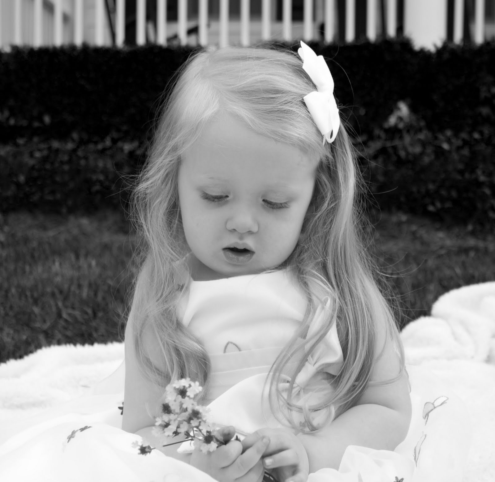 Laura Renee Photography