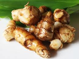 Tanaman Herba: Khasiat Cekur