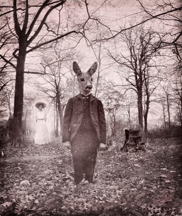 Animal Masks Photography