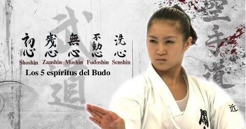 LOS 5 PILARES DEL BUDO, por SERGIO MEDINA SENSEI.
