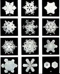Adventurous With a Side of Brainy: Science behind...snowflakes