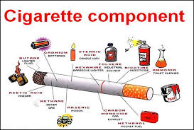 Peran Penting Karsinogen pada Tahap Perkembangan dan Penyebaran Kanker