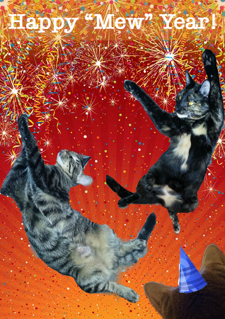 What Year Is It Cat Meme