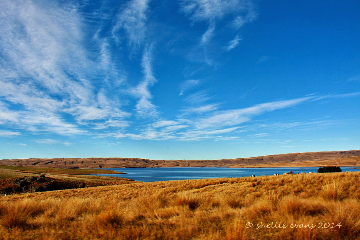 Two Go Tiki Touring: The Dismal Swamp- Lake Onslow