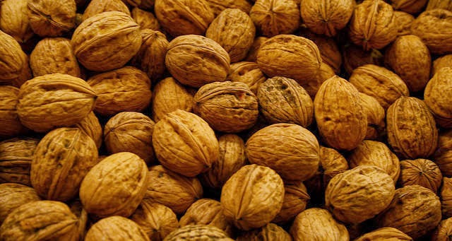 NUCI FORESTIER - VENITURI DUBLE