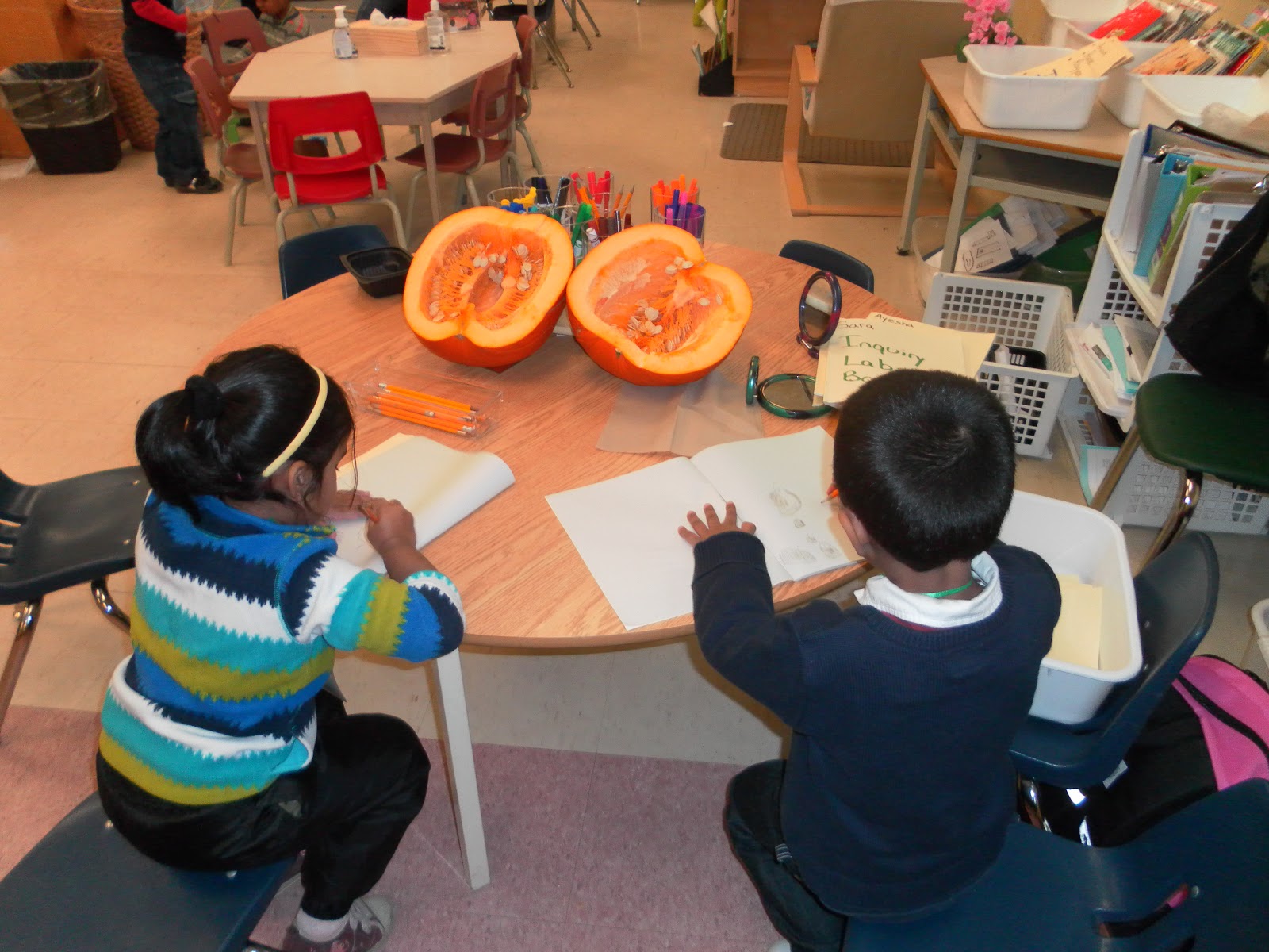 Ms. Shan's Kindergarten Class 2012-2013: Our Pumpkin Inquiry