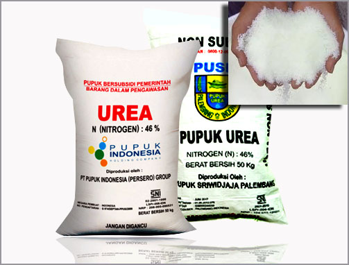 Inilah Manfaat Pupuk Urea Pada Tanaman Serta Kandungan Penting Didalamnya