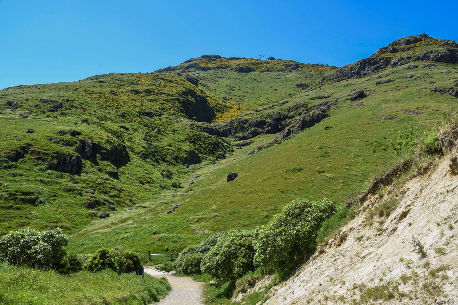 Paws Awhile: Bridle Path