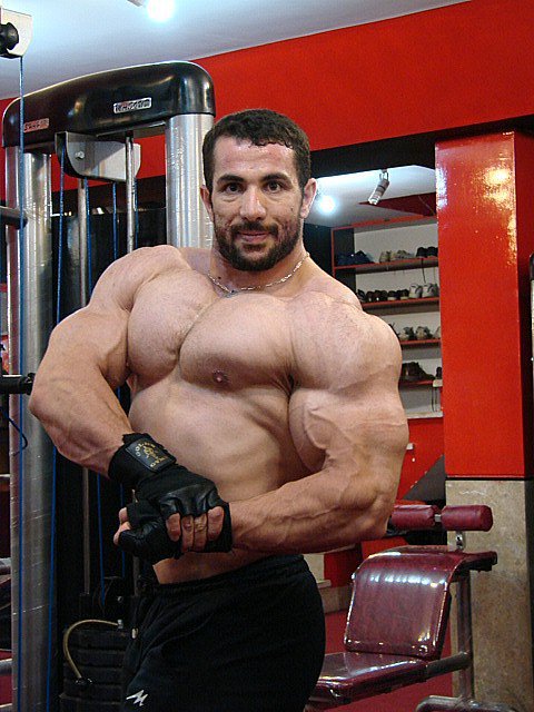 Muscle Lover: Bodybuilders Made in Iran