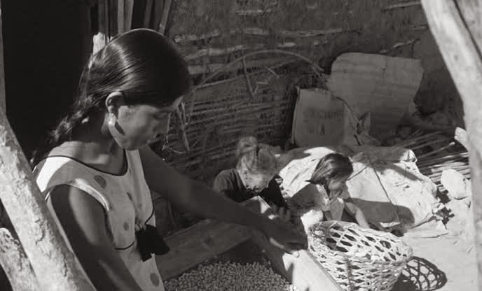 Film Walrus Reviews: Film Atlas (Venezuela): Araya