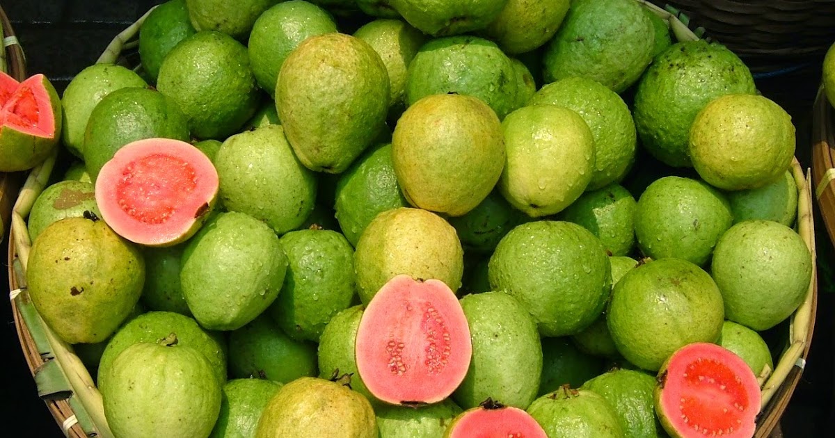 Mapera chanzo cha kusaidia kurutubisha mayai ya uzazi. - Tambarare Halisi