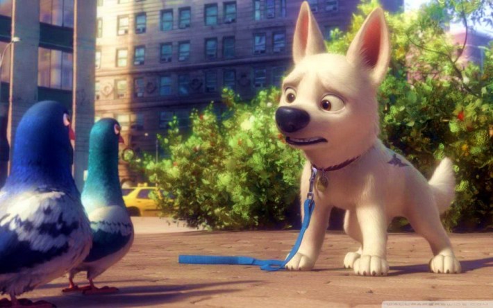 Небеса небес ...: Пёс и голубь