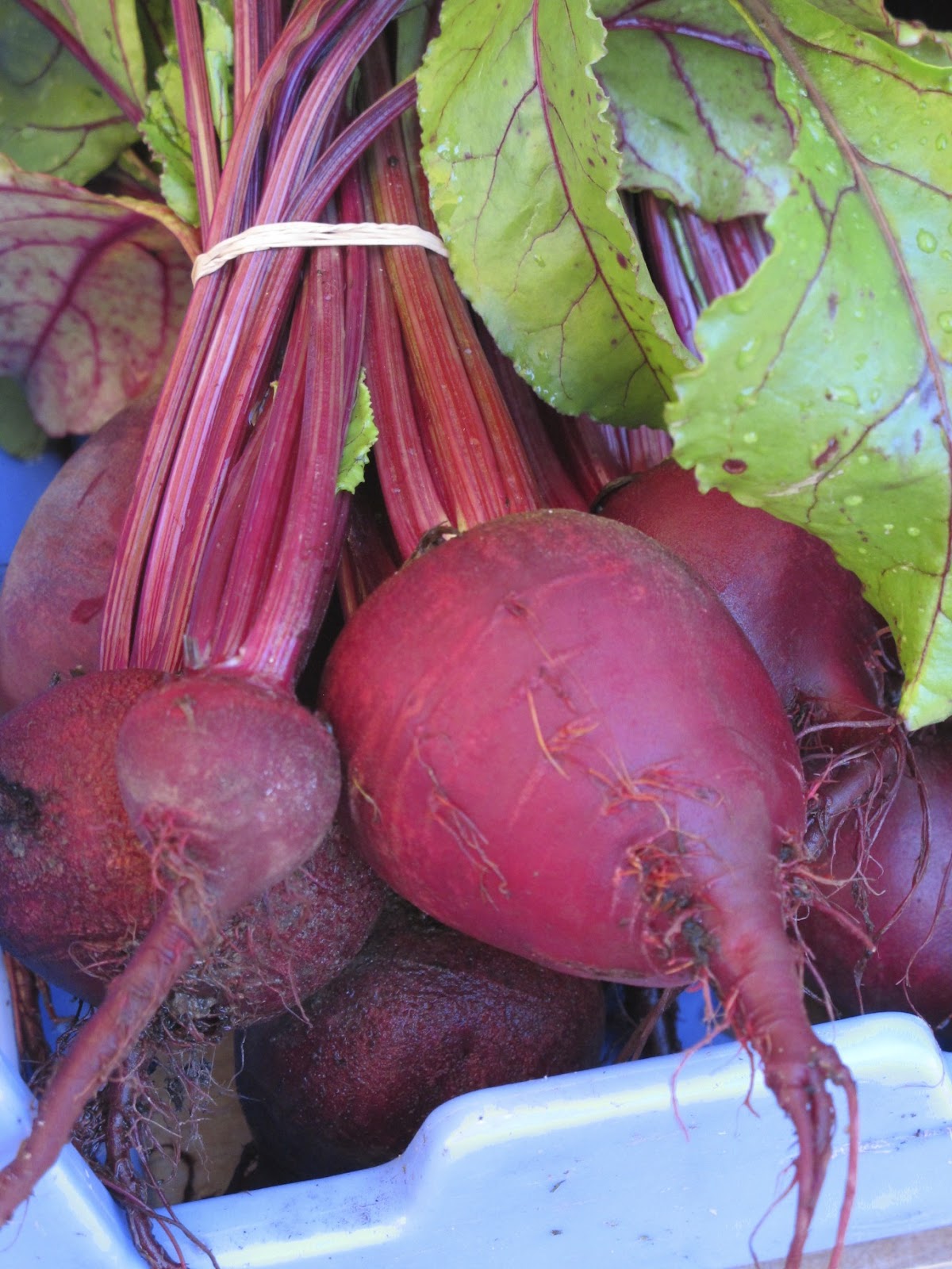 Culinary Types: The Promise of Beets Fulfilled and the Summer Solstice ...