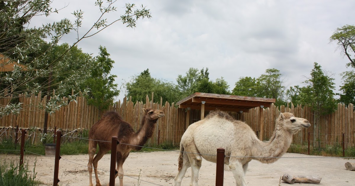 A Little Time and a Keyboard: Walking on the Wild Side at the Columbus ...