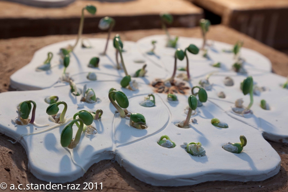 Irish Ceramic Art China: Work from the final show - Kate Standen