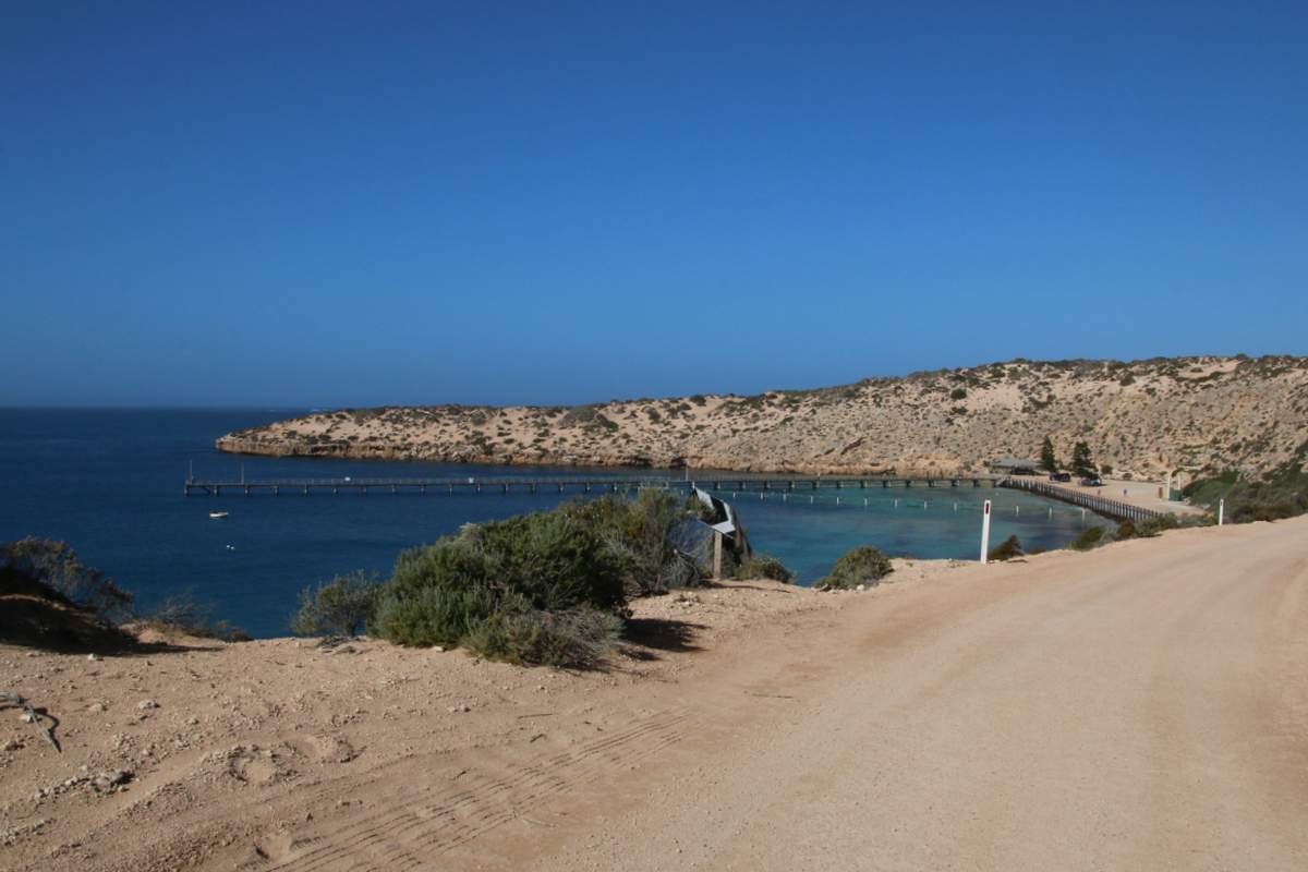 Bushranger: Cactus Beach