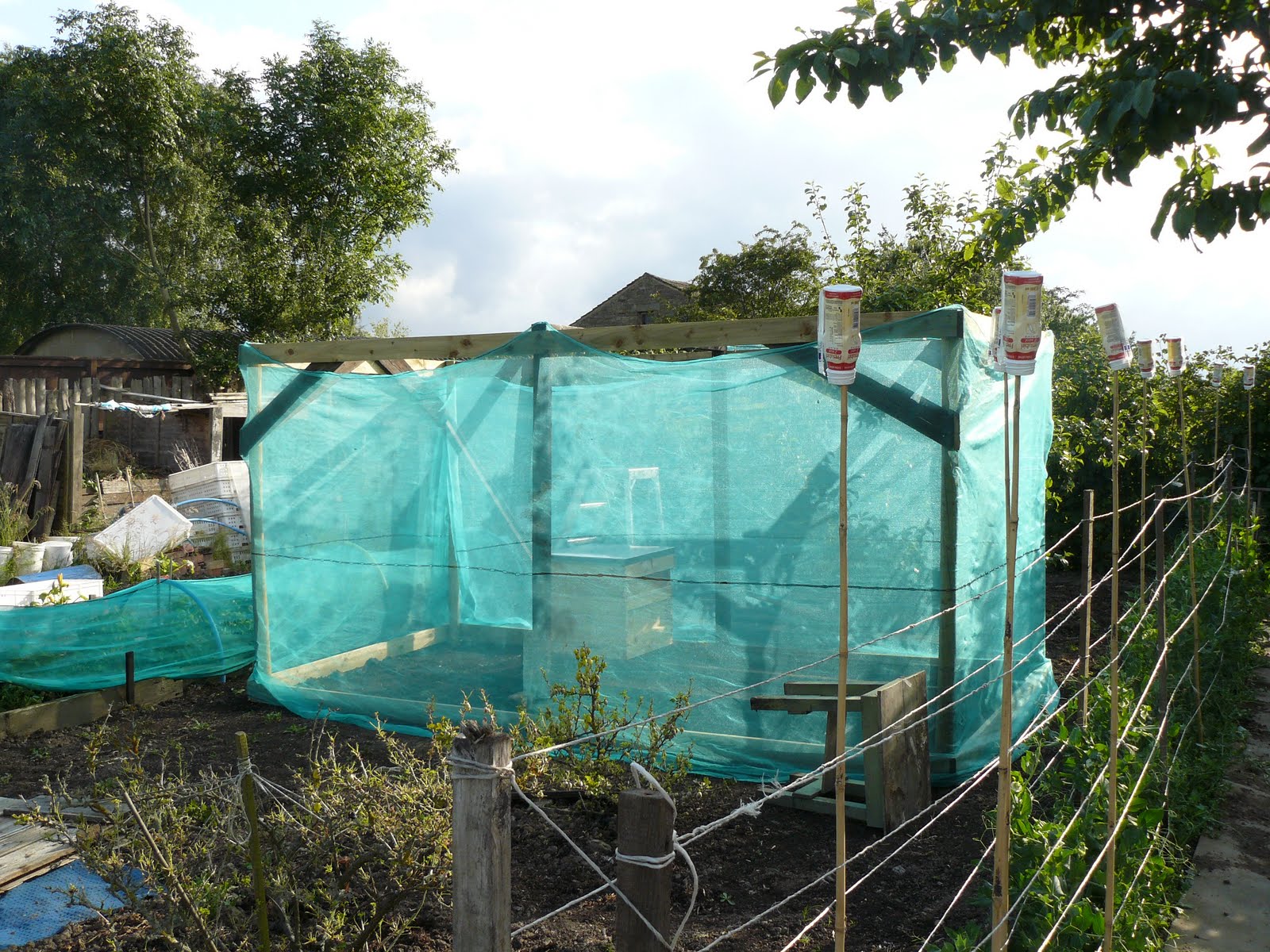 A Buzz About Life: Beekeeping Course: Week 6 ..... Bee Day