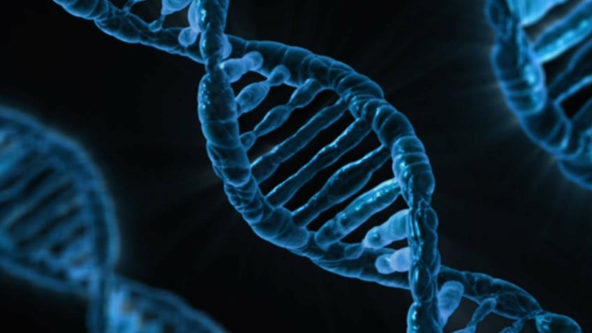 Bert Breed: Spiervezels