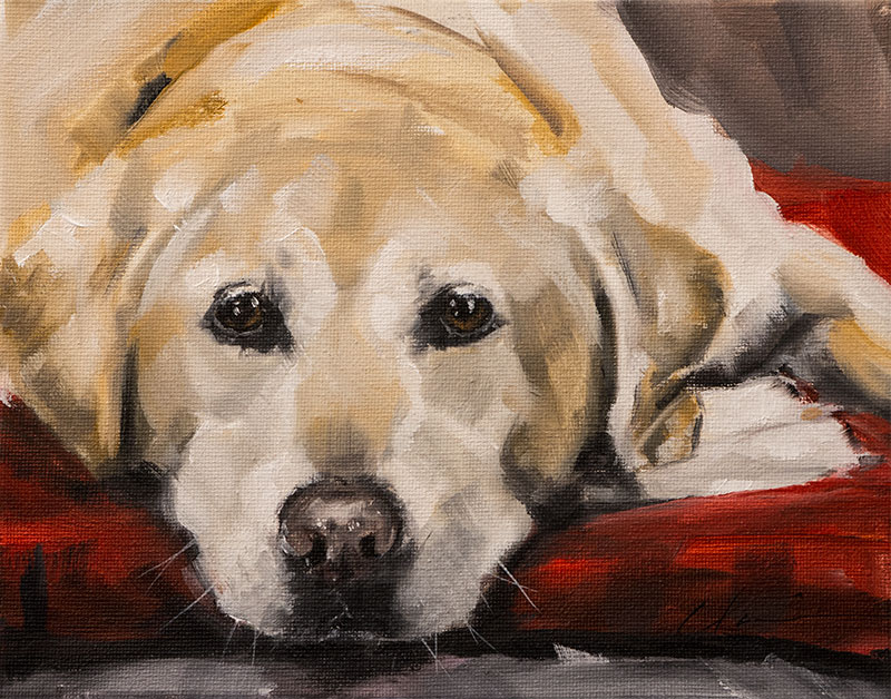 Clair Hartmann: PAINT MY DOG - Homer