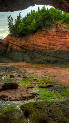 Fondo android pack 195