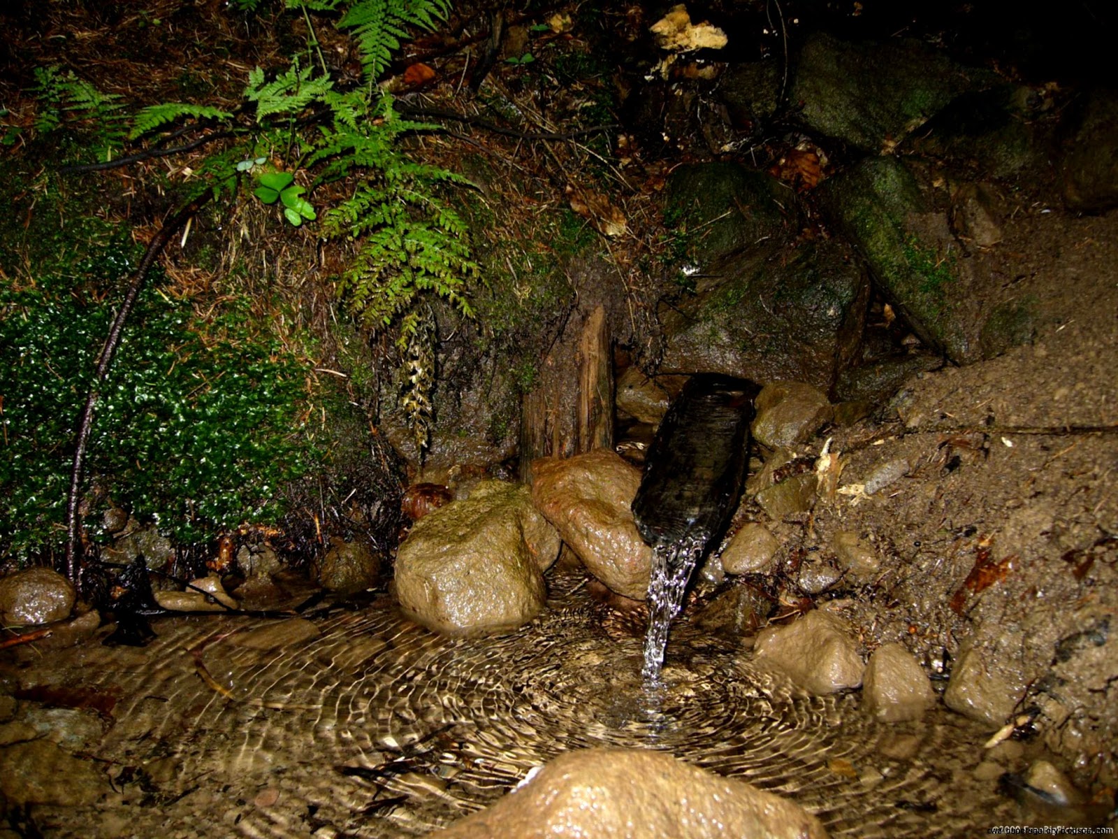 Spring Water Source | Wallpapers Gallery