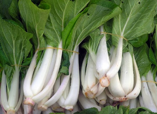 Living with Nature - School on Blog by Dr. Abercio V. Rotor: Grow ...