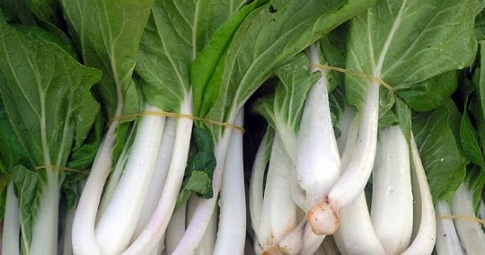 Living with Nature - School on Blog by Dr. Abercio V. Rotor: Grow ...