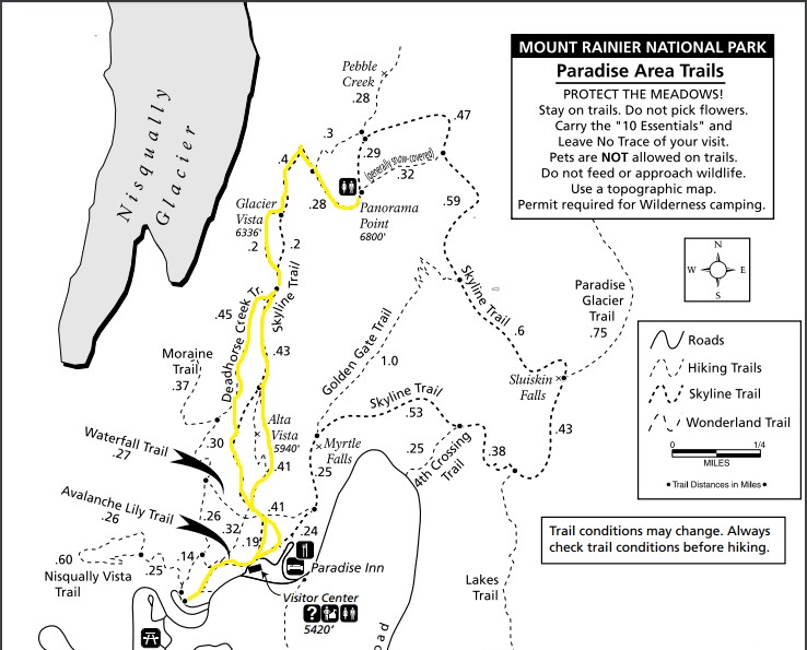 Adventures with Jake: Mt. Rainier - Fall in Paradise