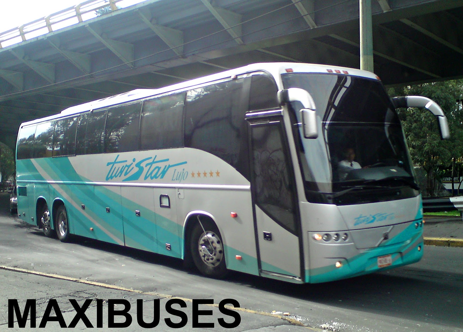MAXIBUSES: TURISTAR LUJO