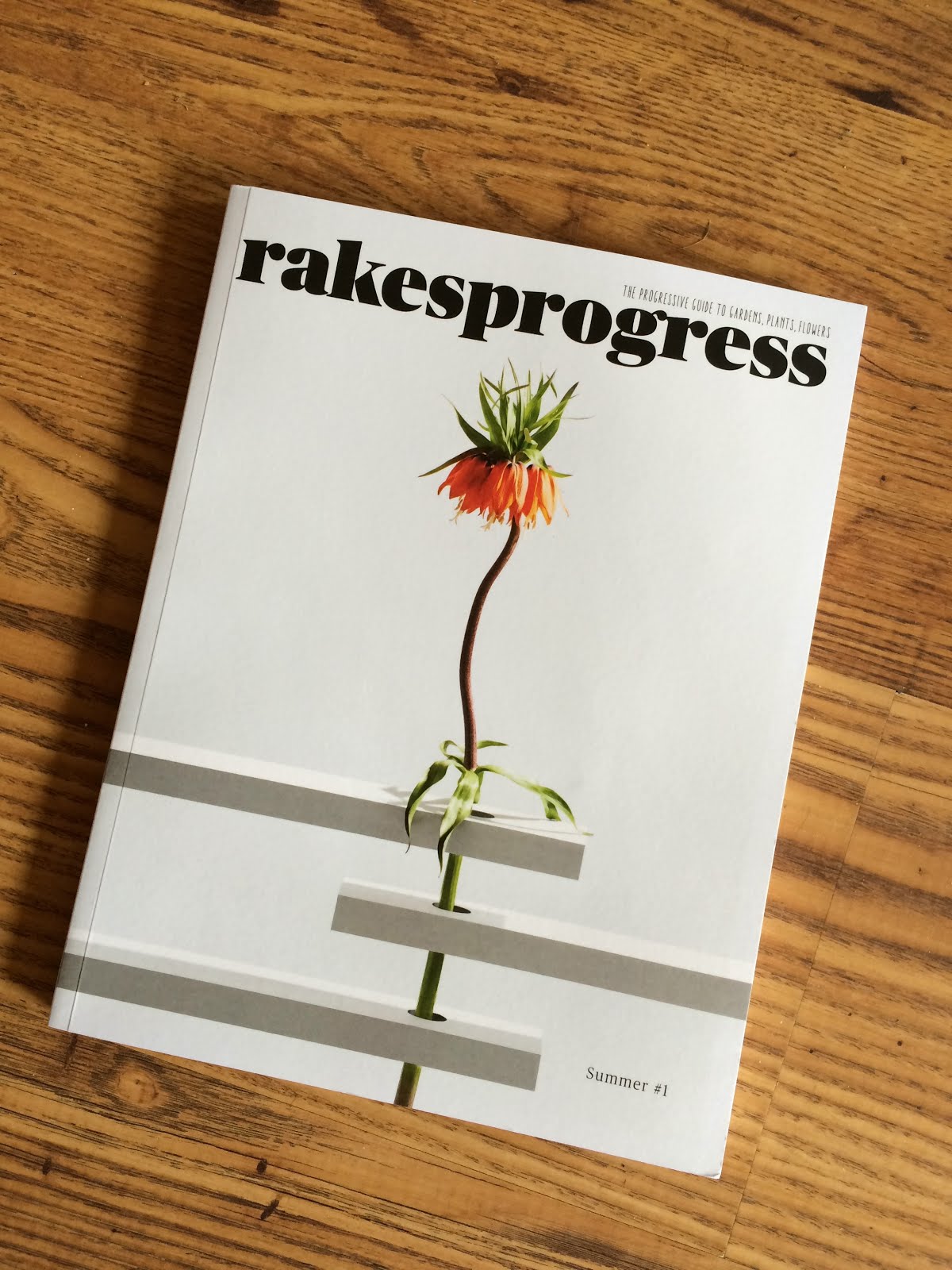 The Physic Blogger: Review!! Rakes Progress-A Progressive Guide to ...