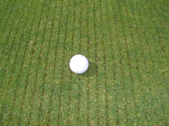 Murrayfield Golf Club - Course Management Blog : Verti-Cutting & Scarifying