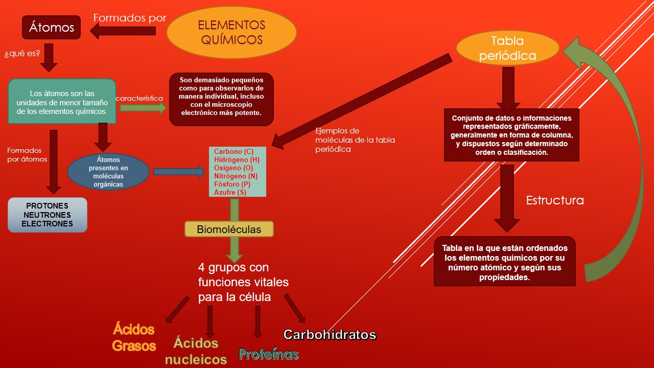 Bardo BlogFisiología07: COMPOSICIÓN QUÍMICA