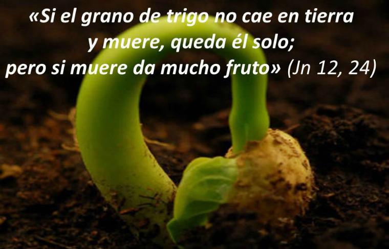 PEQUES Y PECAS...: JUAN 12,24.