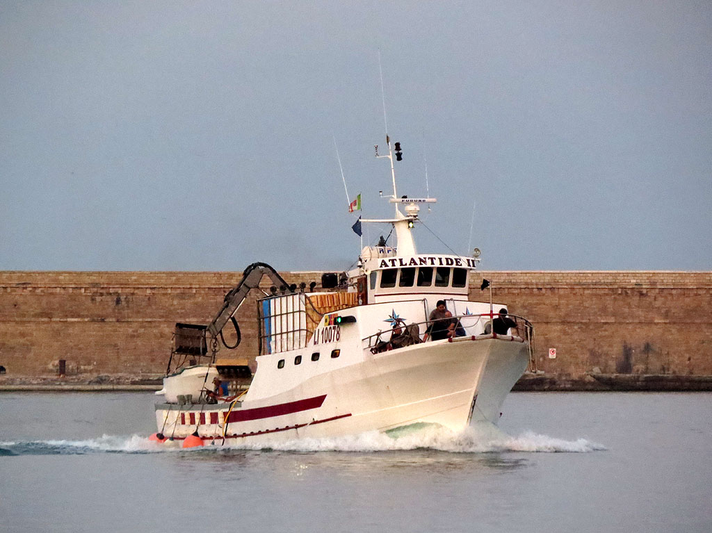 Livorno Daily Photo: Atlantide II