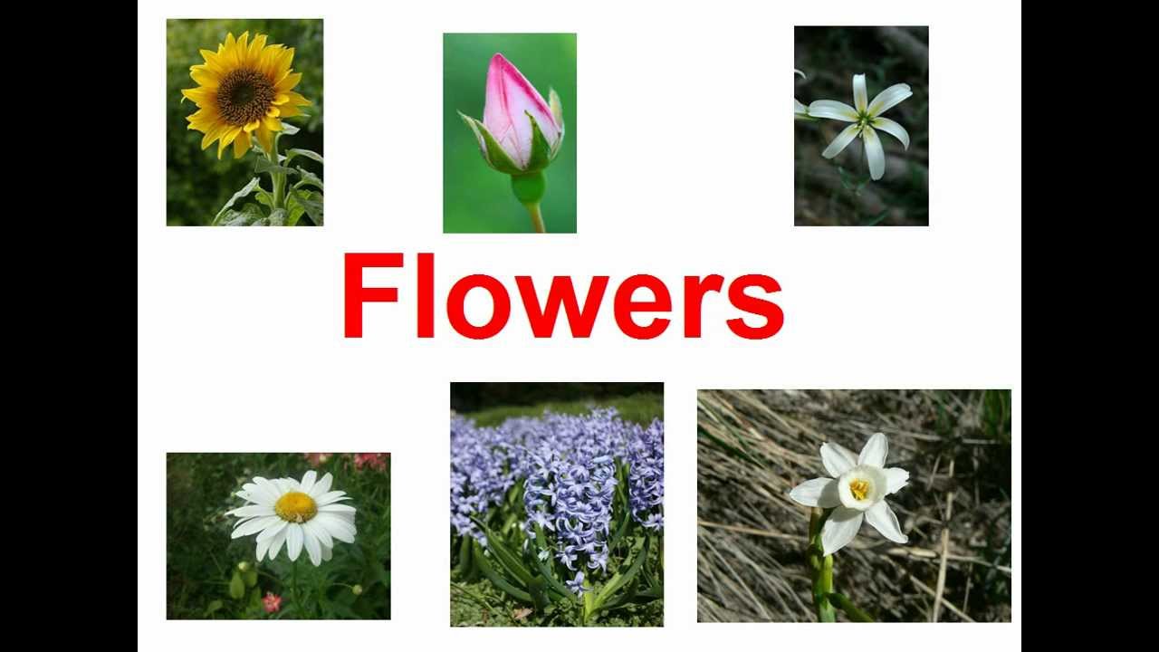 CONOCIENDO LAS ESTACIONES EN EDUCACIÓN INFANTIL: VOCABULARIO DE ...