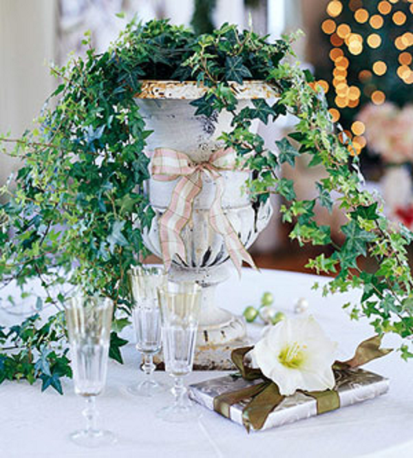 The Enchanted Petal: 365 Days of Floral Education - Days 6-10