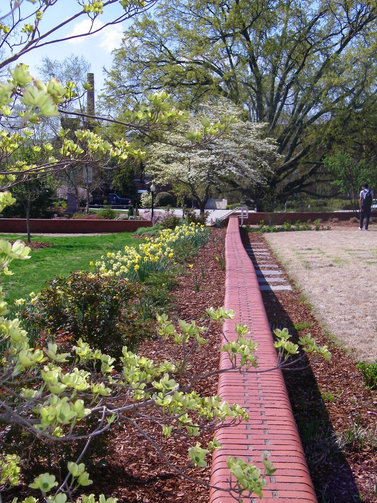 Spring Bloom in Front of Jackson Library