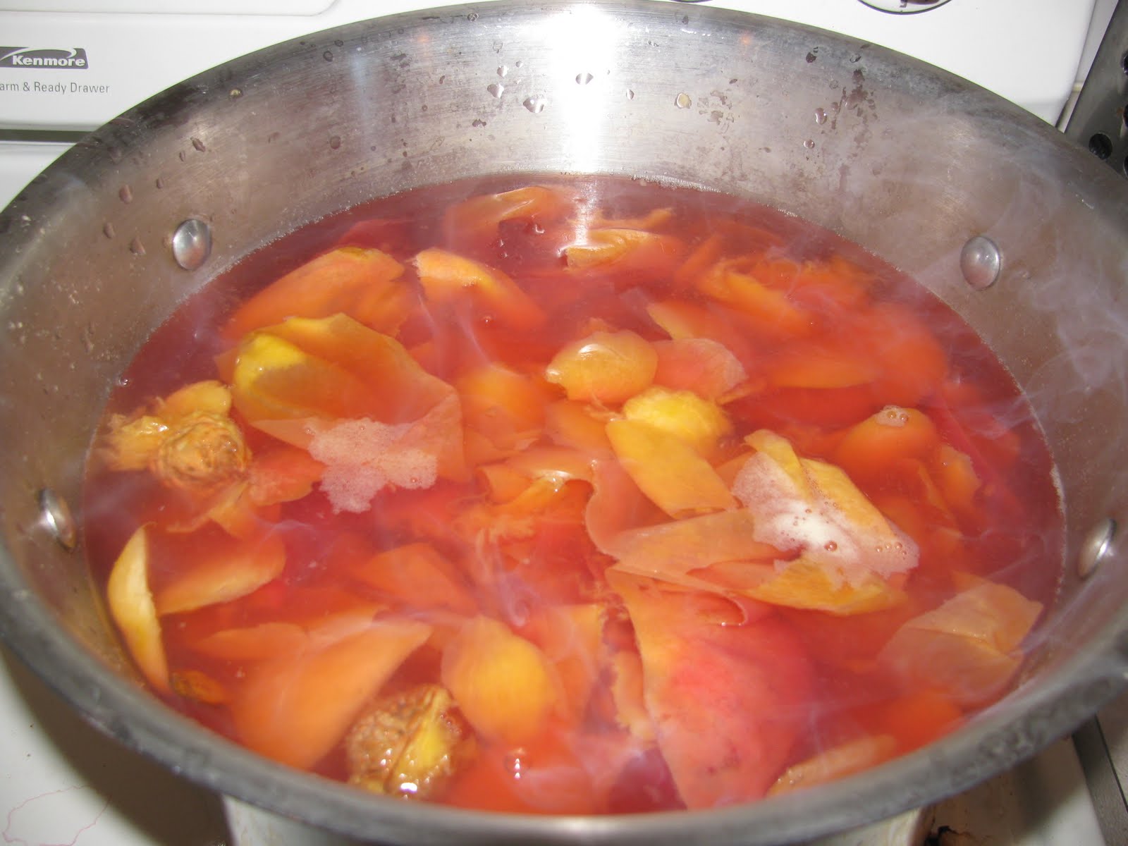 Fruit Syrup from "Garbage" - Proverbs 31 Homestead