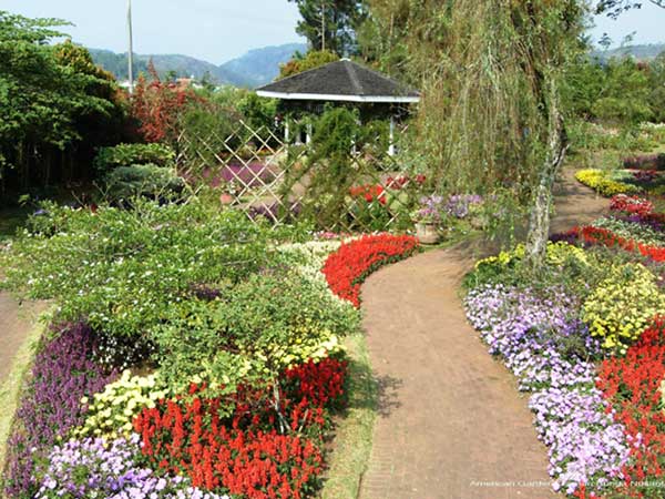 Puncak Icon: Taman Bunga Nusantara