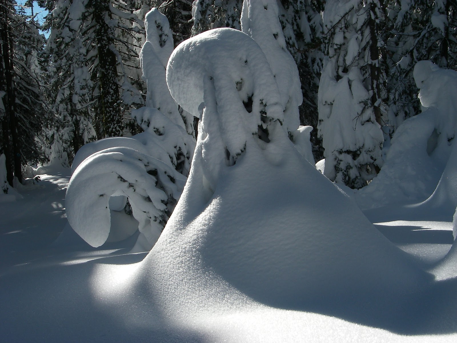 Veggie Voyagers: Magical Snow Creatures