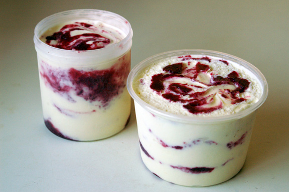 Ice Cream Cans Homemade Recipe | Ice-Cream Worlds